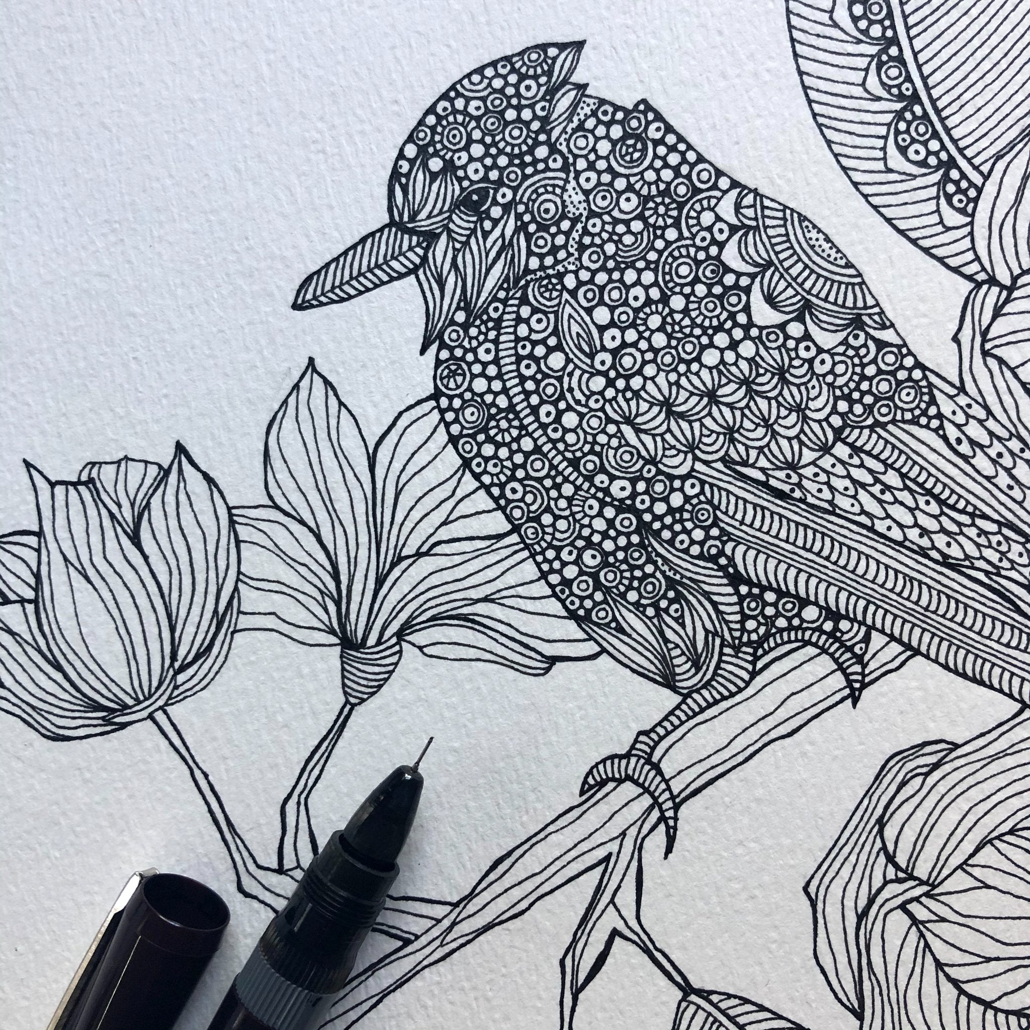 Original Pen and Ink Bird Drawing: Black Ink Rapidograph Art – Art Beat